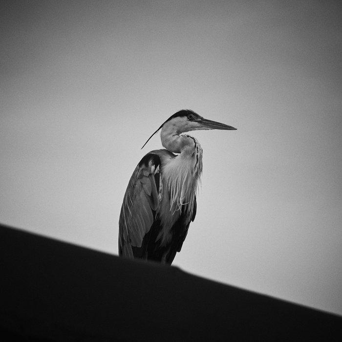 #0 | Koshun Nakao 中尾功俊