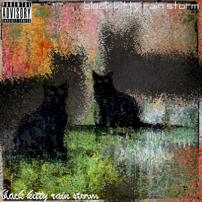 black kitty rain storm | xerapheron