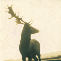 Car Trash | Heidi Harris