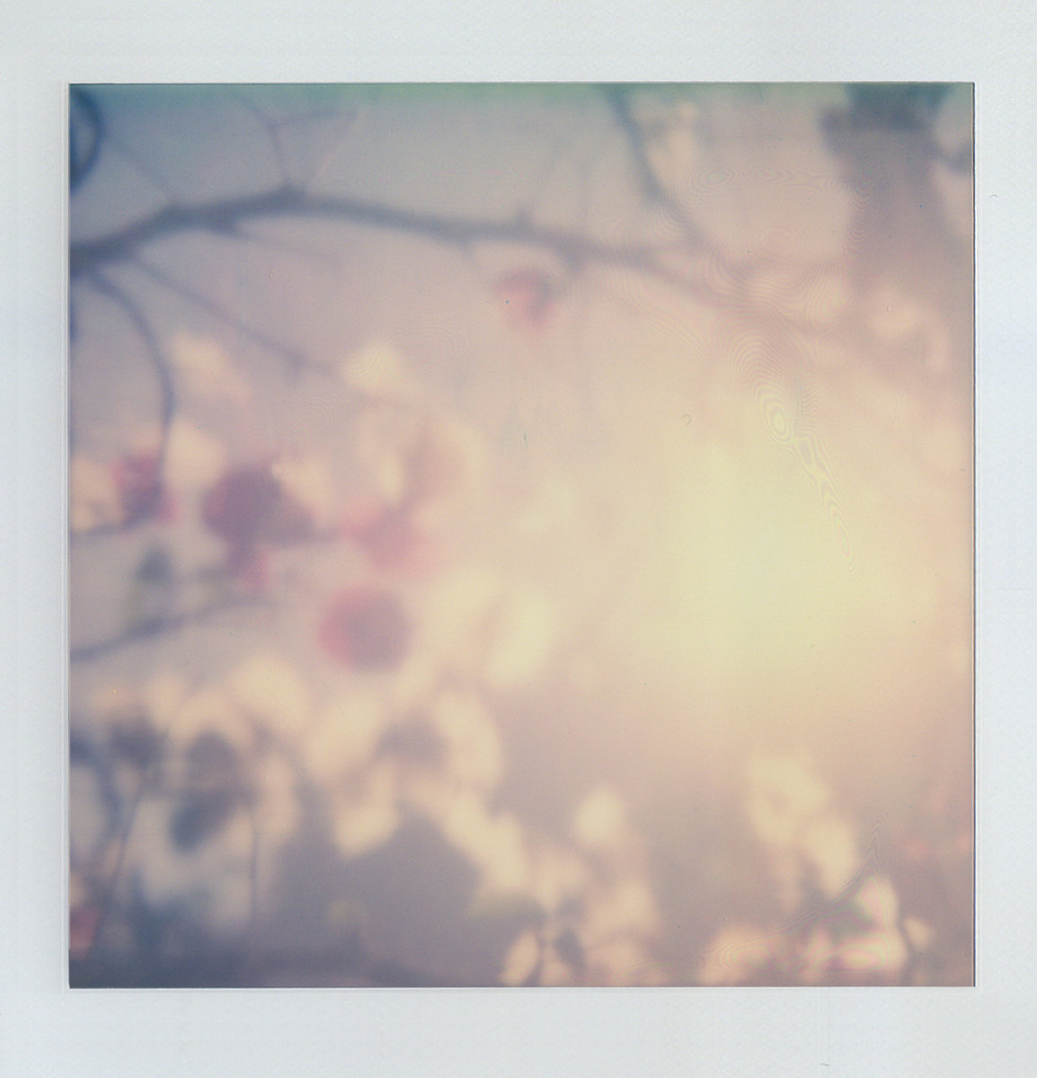 Radiant Emptiness | Sunyataji | astral phonographic
