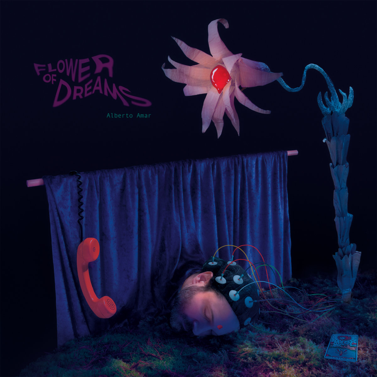 Flower of Dreams | Alberto Amar