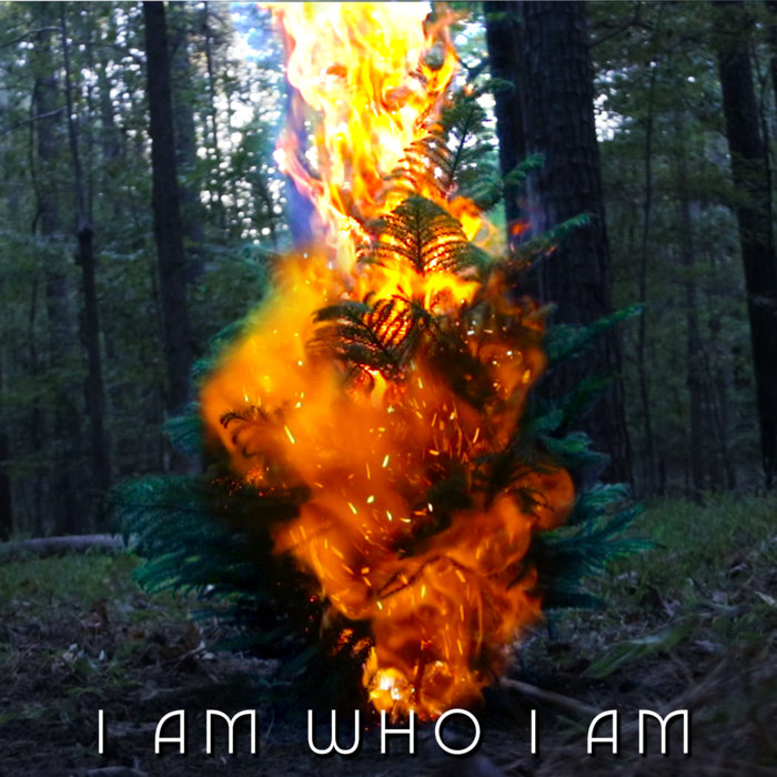 I AM WHO I AM | Michael Seethaler
