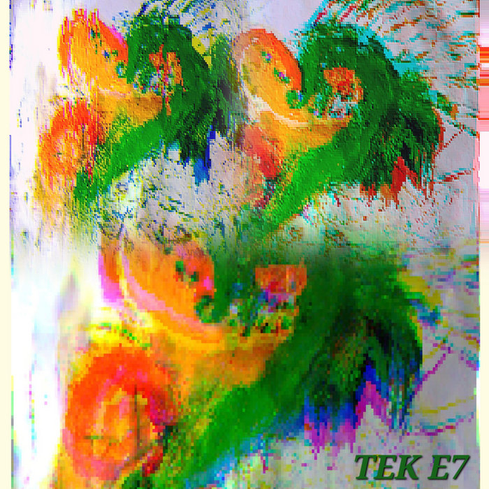 Do IDM live au bords du Loing ? (Intelligent Duck Machine) | Tek E7