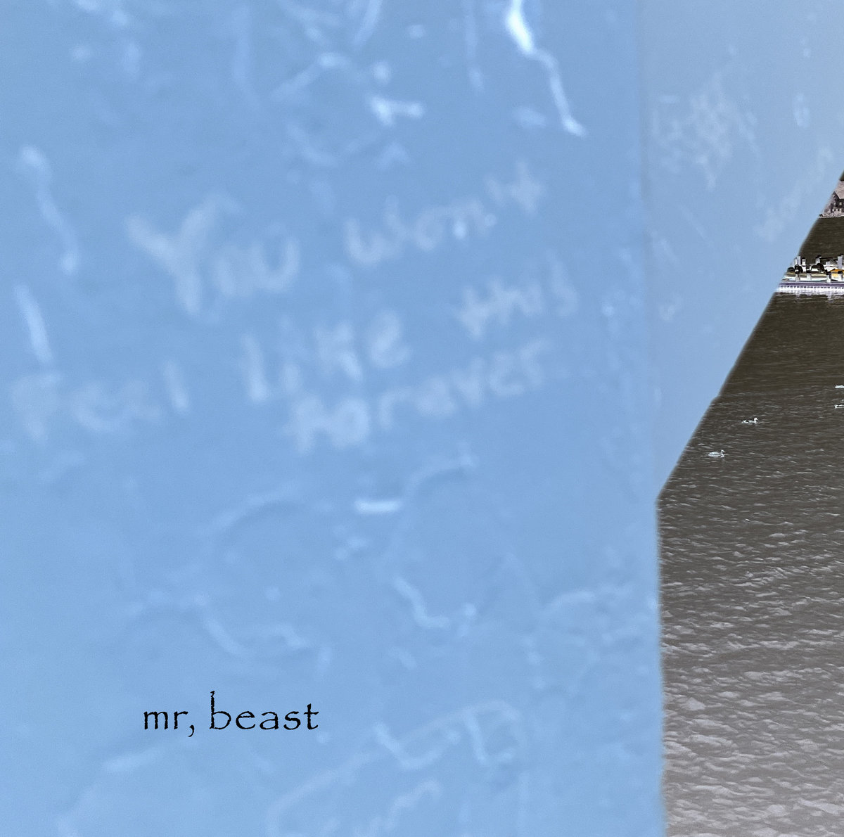 Ms. Beast | Mr. Beast