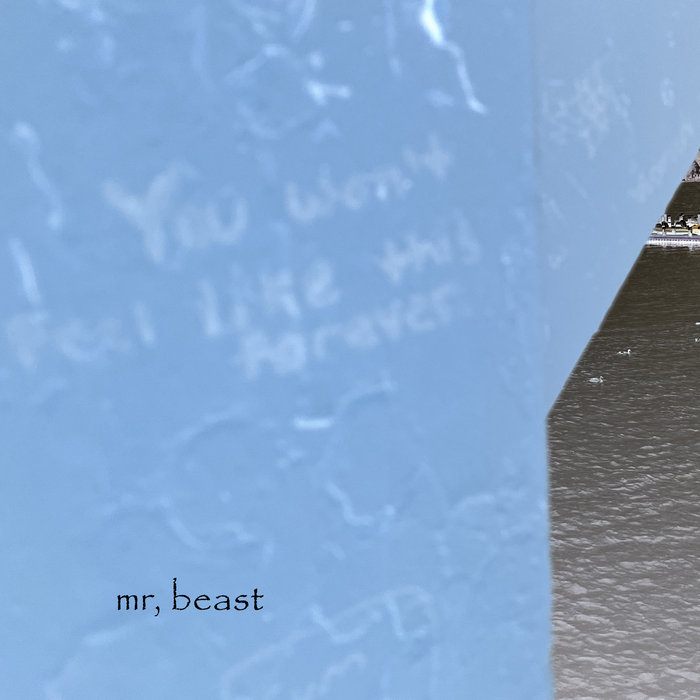 Ms. Beast | Mr. Beast