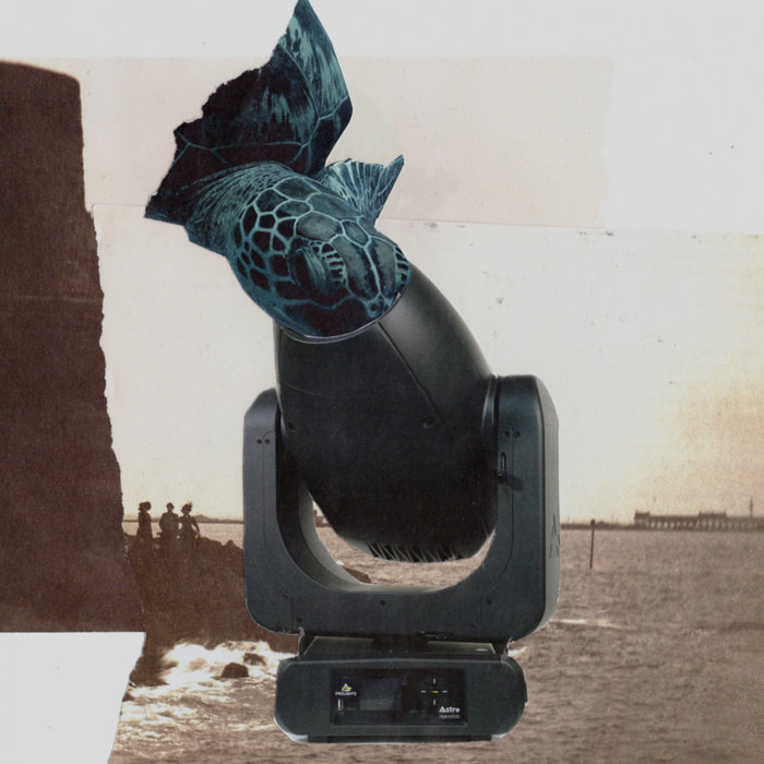 Out of Step VEP | Various | Bait