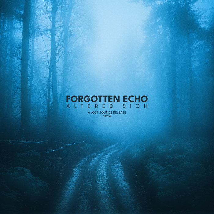 forgotten echo | altered sigh
