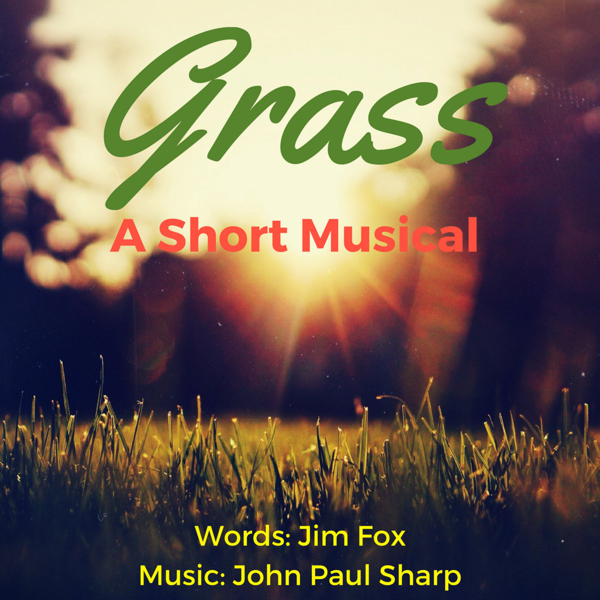 Grass | John Paul Sharp