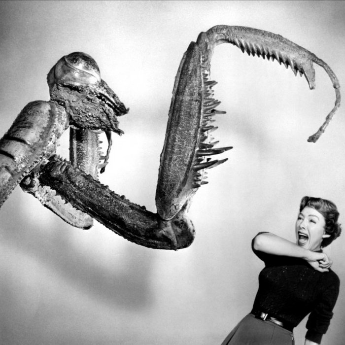 The Most Dangerous Monster That Ever Lived! | Bug Catcher | LSD Induced ...