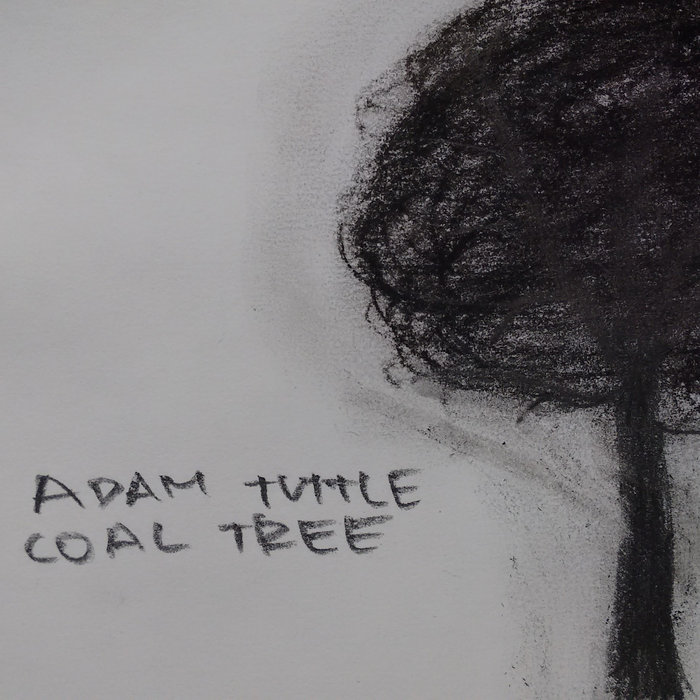 Coal Tree | Adam Tuttle