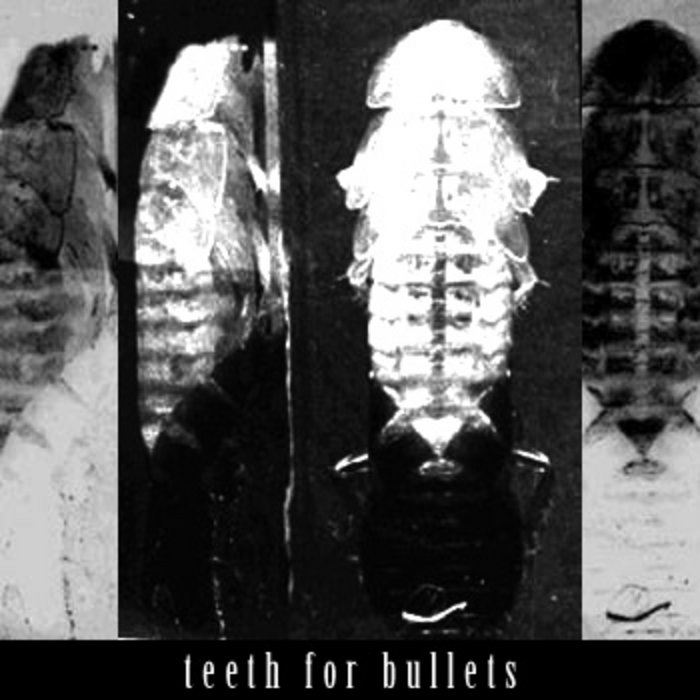 Teeth for bullets | Karamara