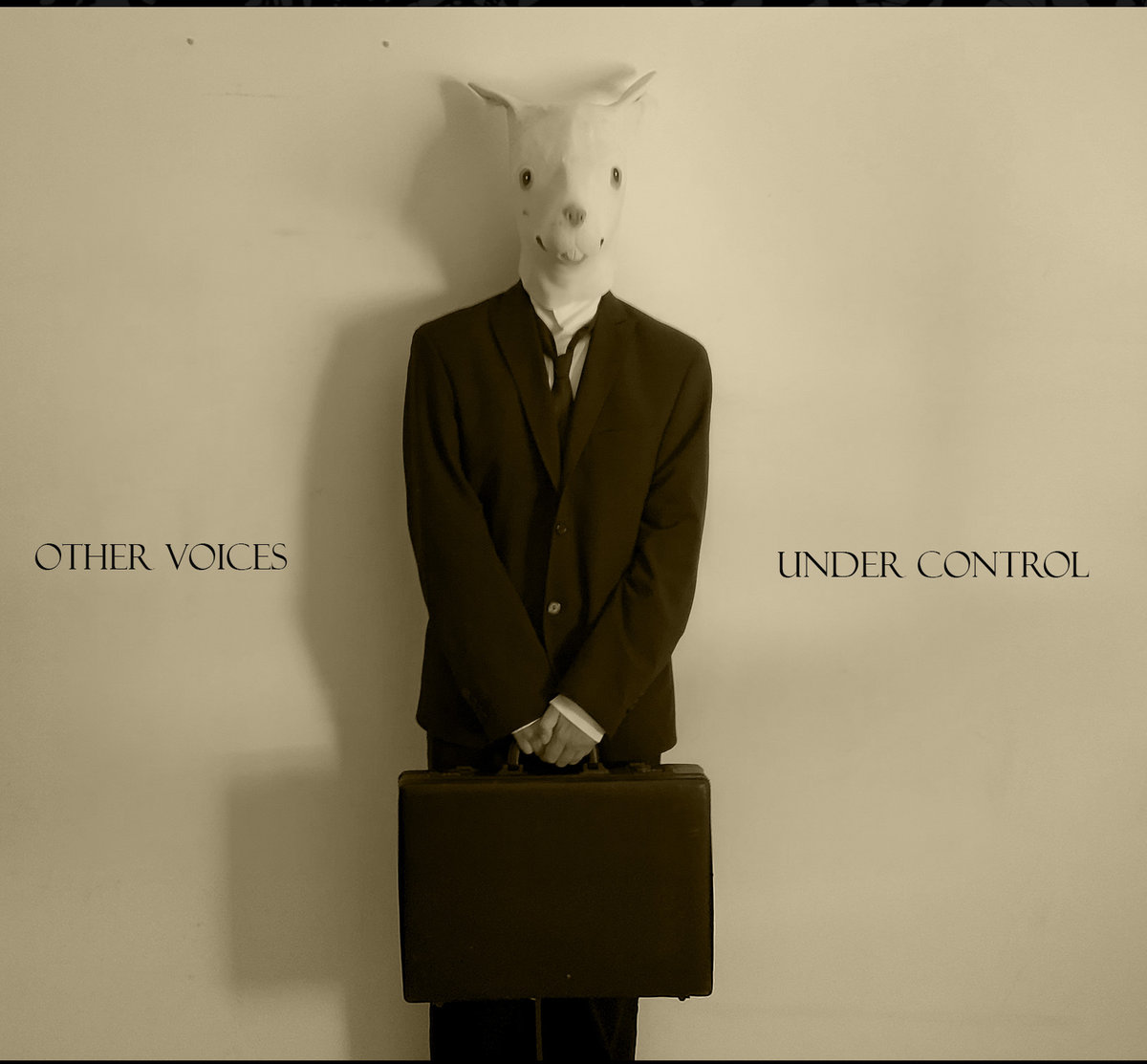 Under Control | Other Voices | SwissDarkNights Label