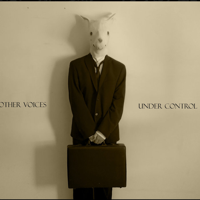 Under Control | Other Voices | SwissDarkNights Label