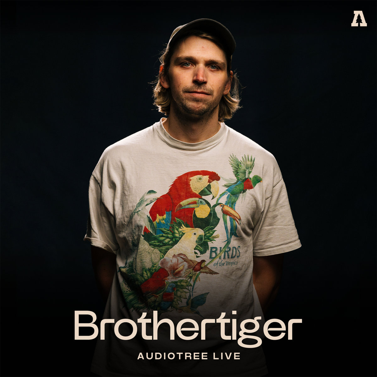 Brothertiger on Audiotree Live | Brothertiger | Audiotree
