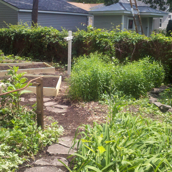 living room tunes | Nicholas Miles