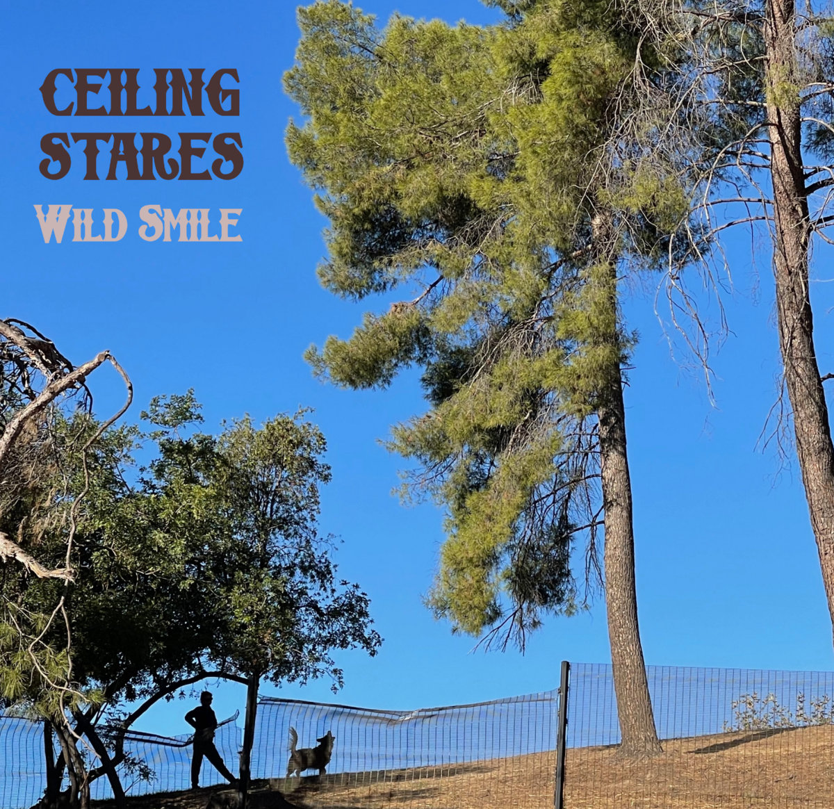 Wild Smile | Ceiling Stares