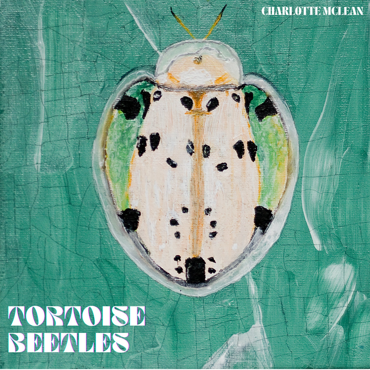 Tortoise Beetles | Charlotte Mclean