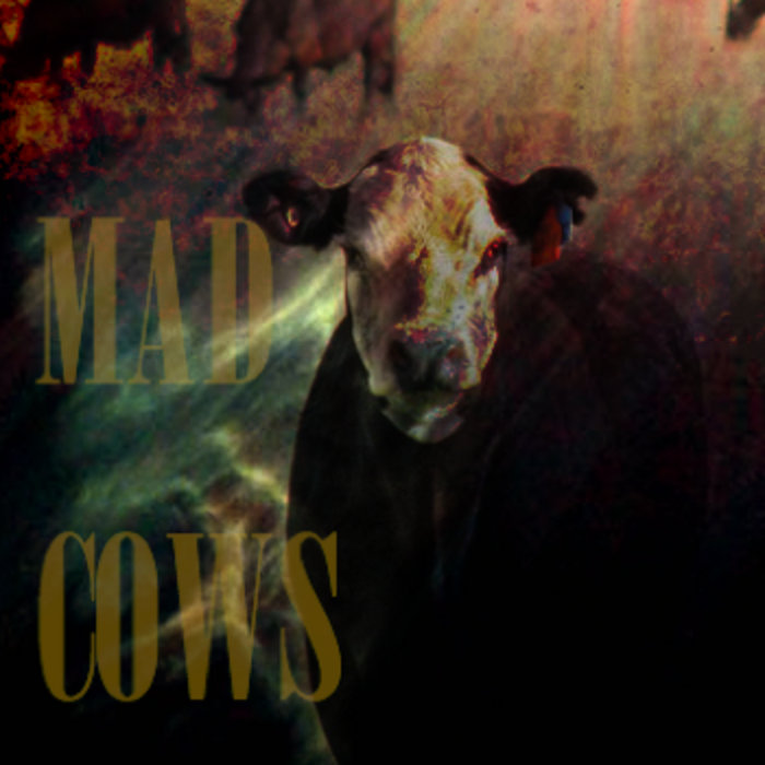 Mad Cows | Mad Cows