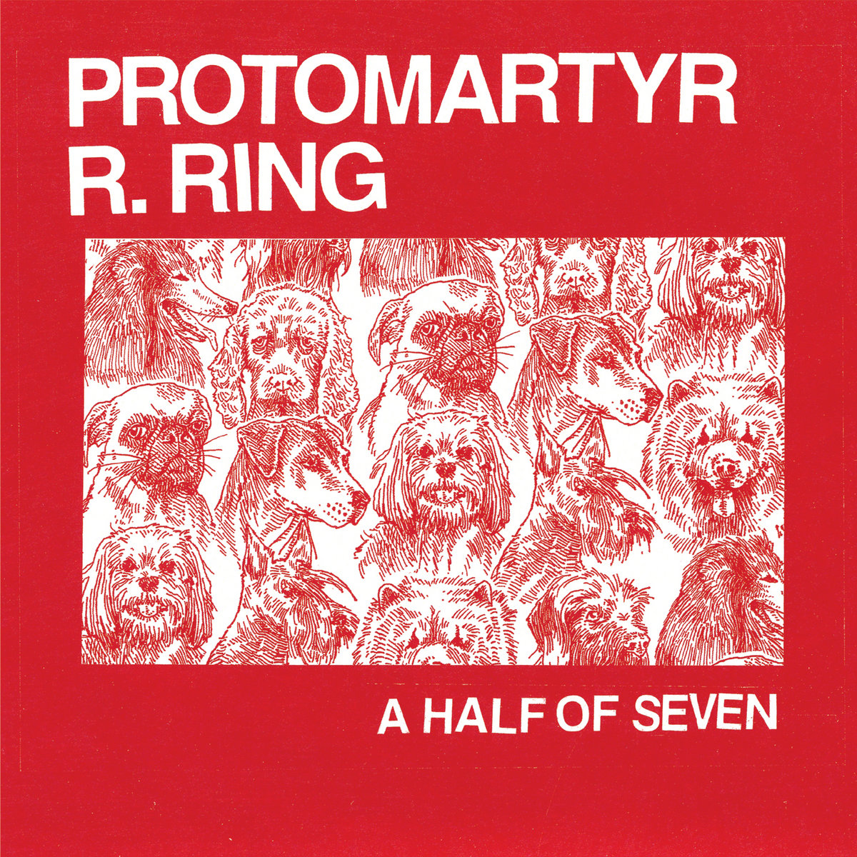 A Half Of Seven Protomartyr