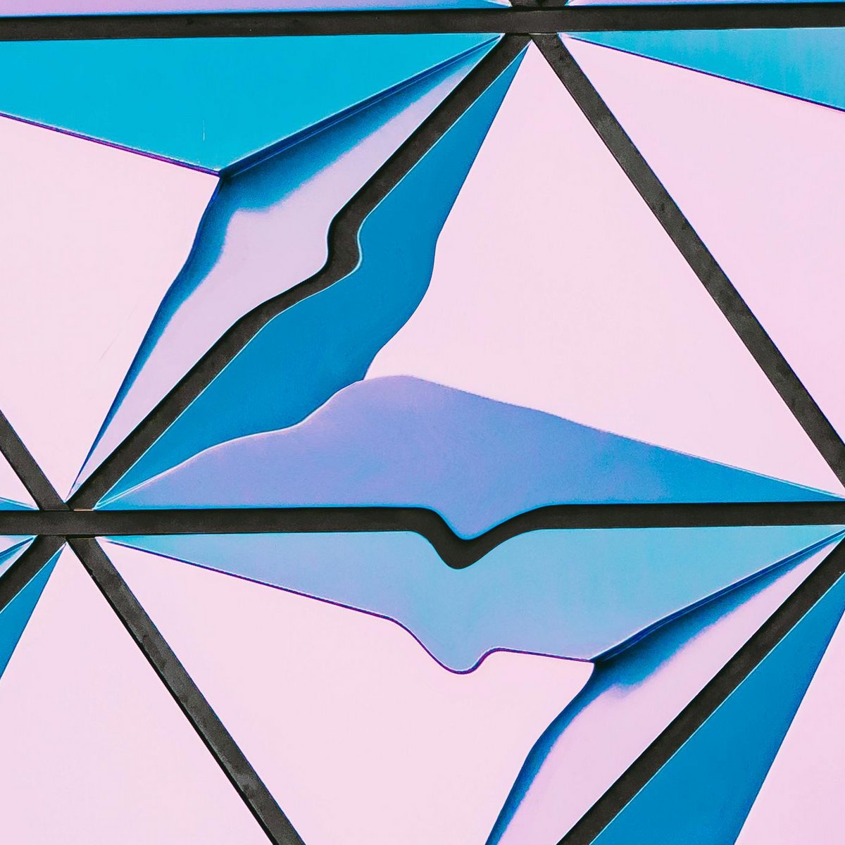 Motion | Caught In Joy