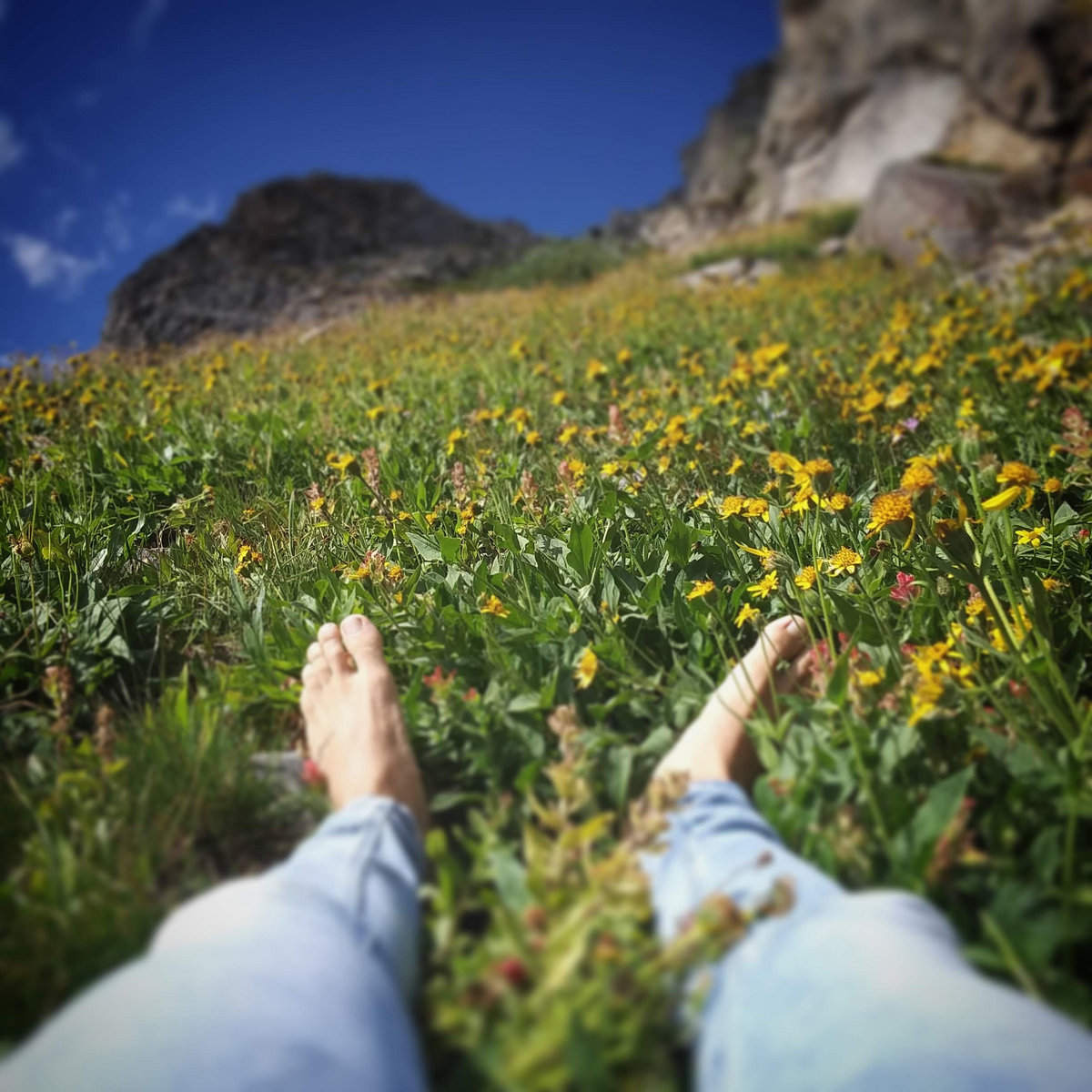 Arguing Semantics Revival (Demo) | Subsistence