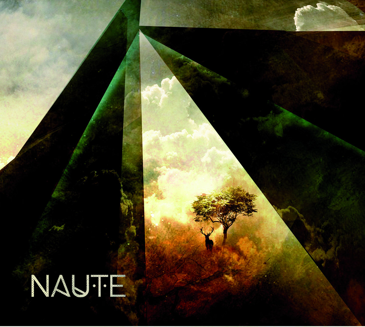 NAUTE | NAUTE