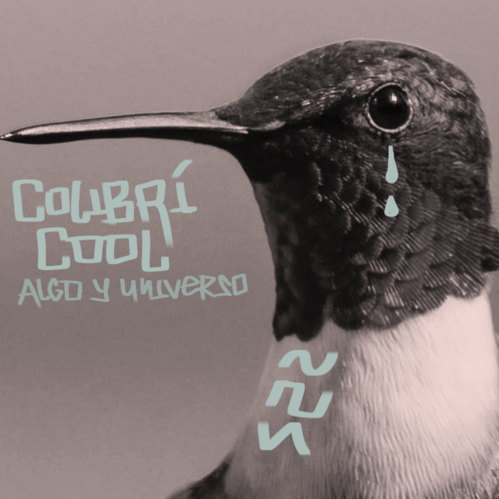 Colibrí Cool | Algo y Universo
