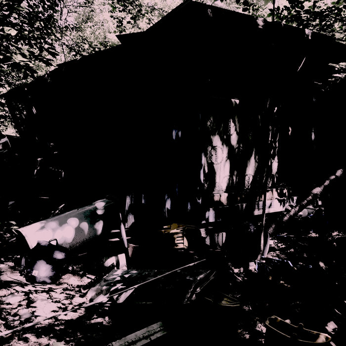 xieo | copcarbonfire