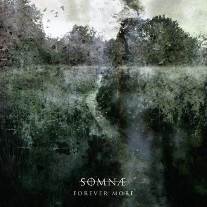 Forever More | Somnae