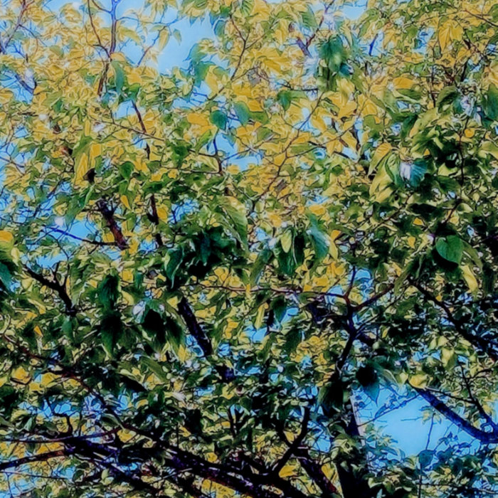 Unknown Project Unknown Project