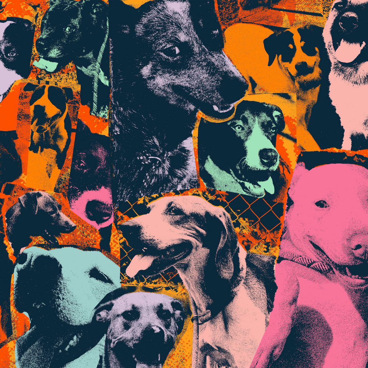 The Dogs of Hope | Various Artists | Iodine Recordings
