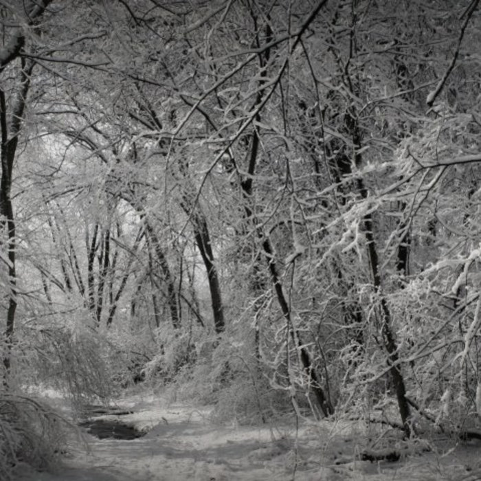 Ghosts of Winter | Isaac Evenson