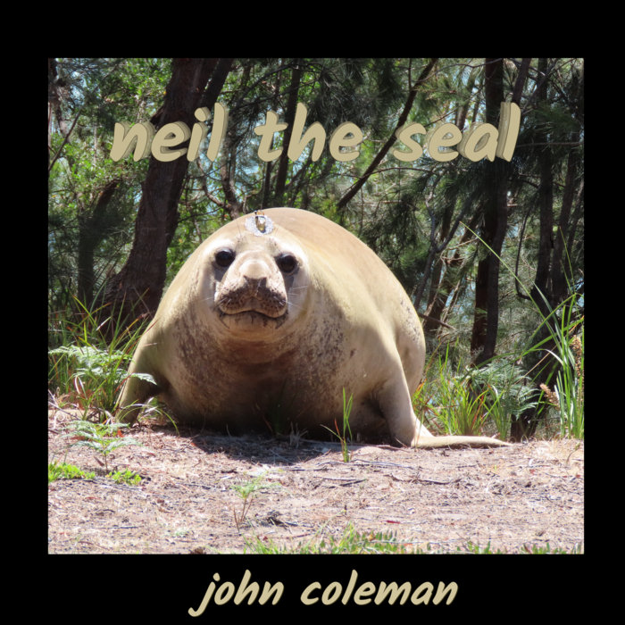 Neil The Seal | John Coleman