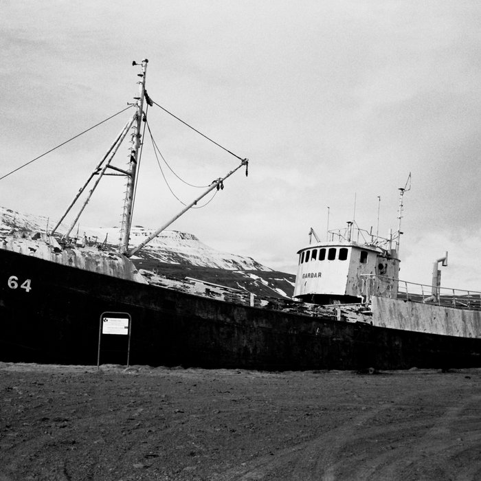 Arrival | Rupert Reid