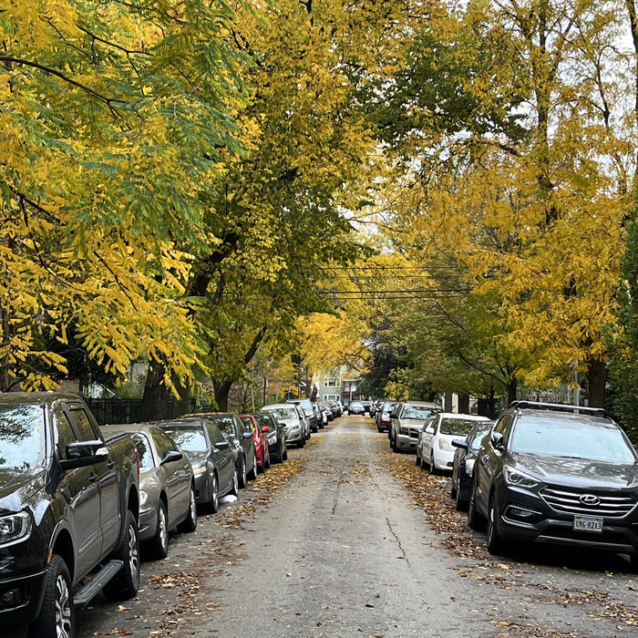 Emergency | Garbage Time