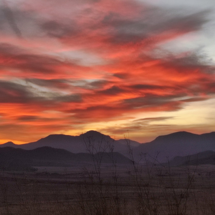 Enjoy the Dance! | Indreba