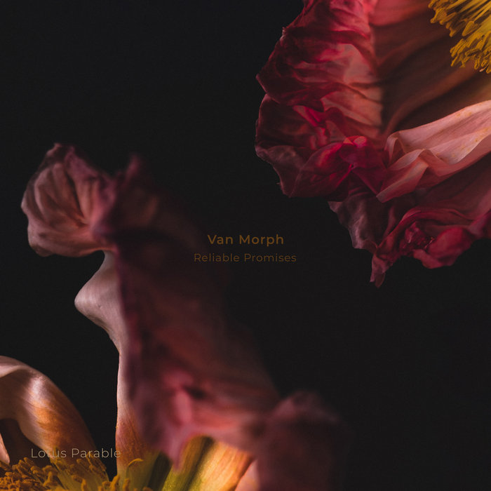 EP_Reliable Promises | Van Morph | Lotus Parable
