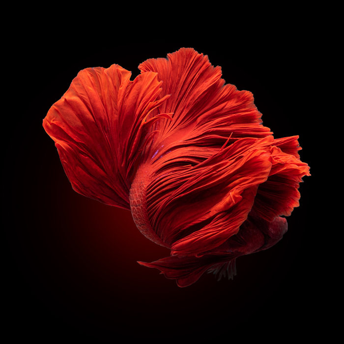 The underwater fires | Autonomaton | Mahorka