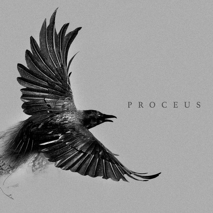 PROCEUS | PROCEUS