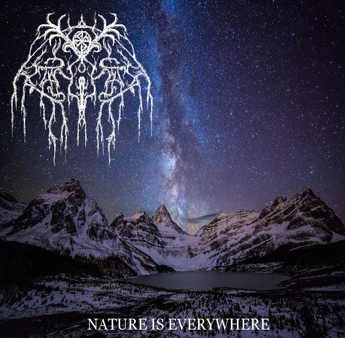 Nature Is Everywhere | WEDNES