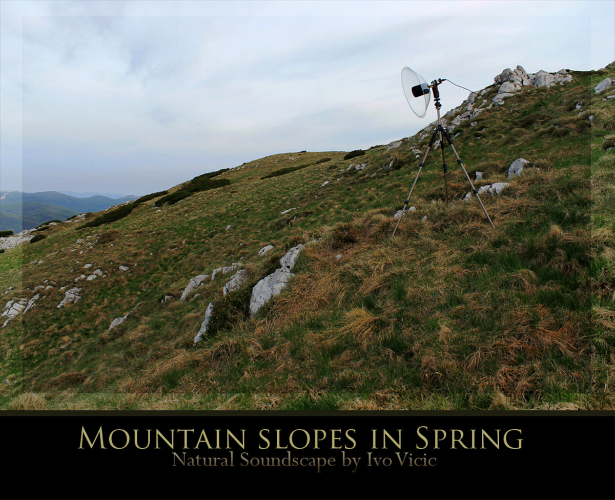 Mountain Slopes in Spring | Ivo Vicic