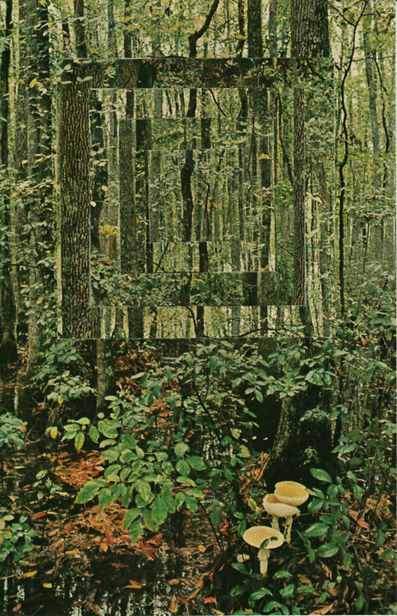 Pont De Singe | Mascara Snake