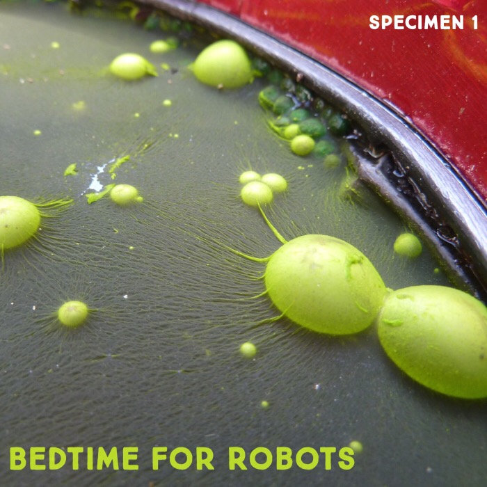 Specimen 1: 2017 edition | Bedtime for Robots