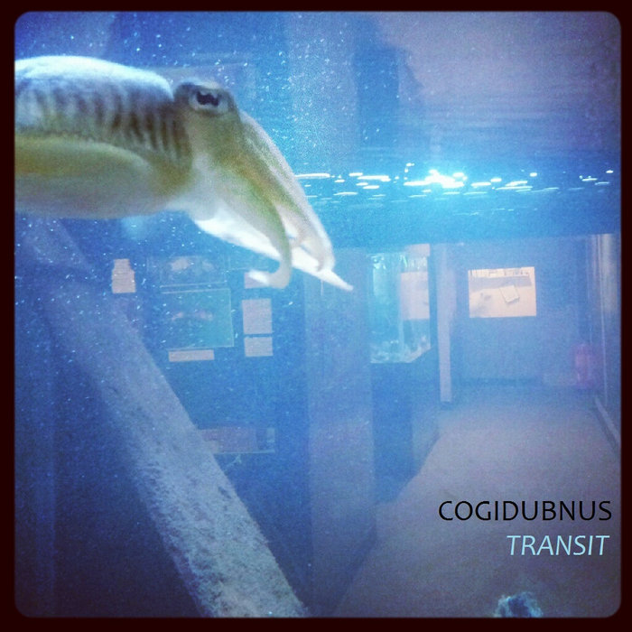 Transit | Cogidubnus | Cogi