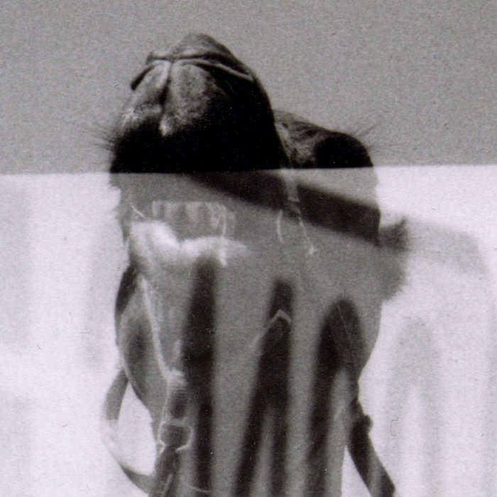 Otis Jordan | Otis Jordan