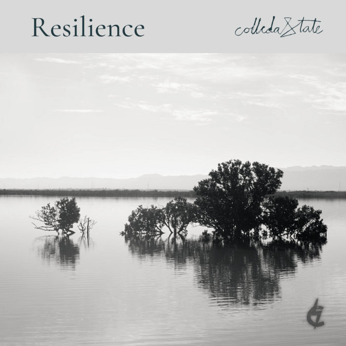 Resilience EP | Collidastate