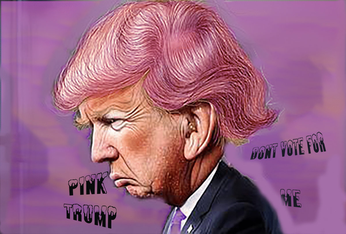 Intro(Pink Trump) | Lima Seeairah