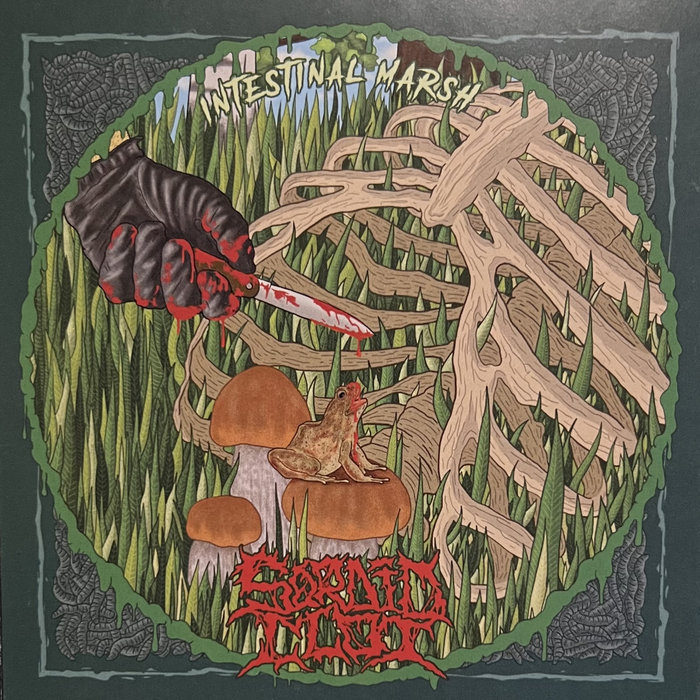 Intestinal Marsh / Gore Grind Casino | Sordid Clot / Hydropsy ...