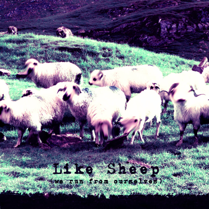 Like Sheep (we run from ourselves) | Niv Ast
