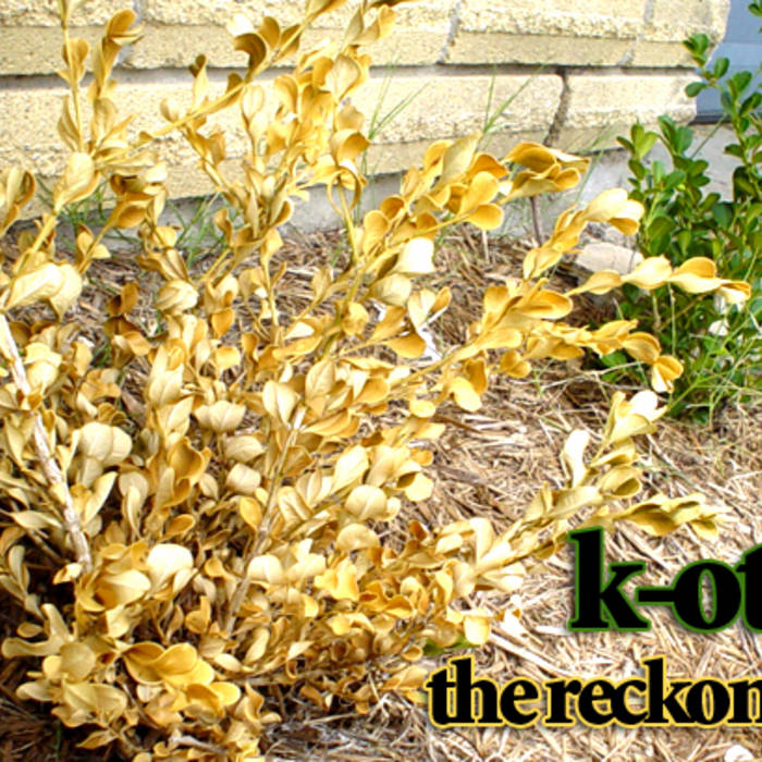 The Reckoning | K-OTIX | K-OTIX / The Legendary KO